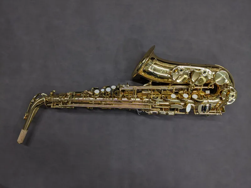 SML A-300 Alto Saxophone Outfit